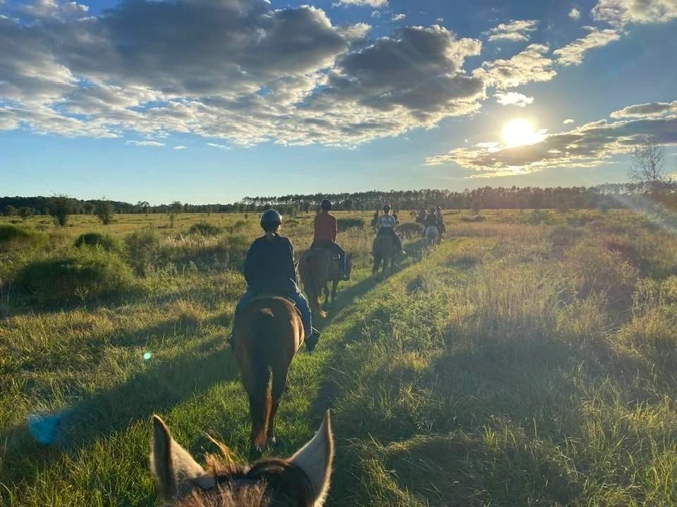 What Makes the Best Horseback Riding Orlando Has to Offer? | Lake ...