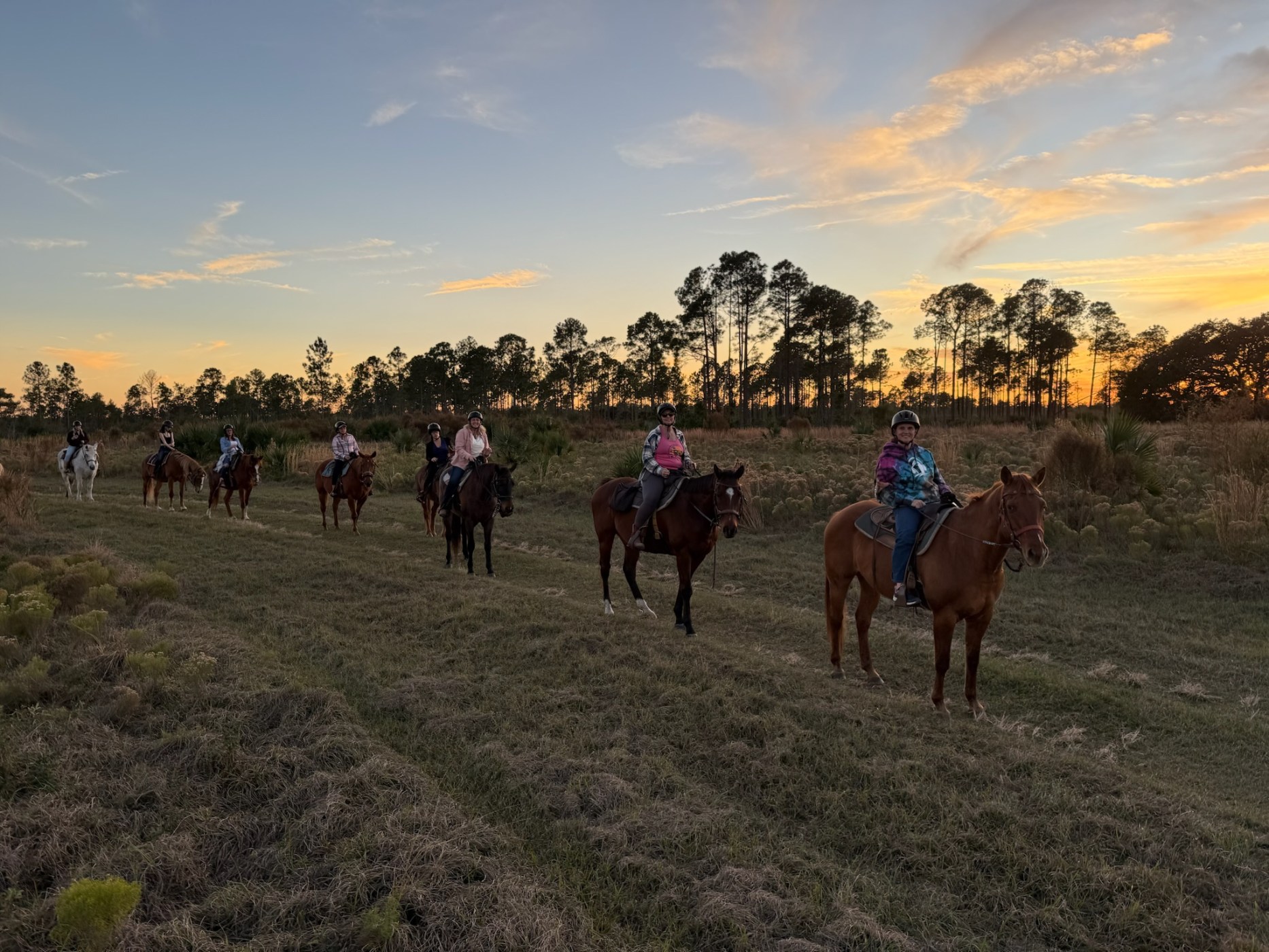 Horseback Trail Ride in Clermont, FL | Lake Louisa State Park
